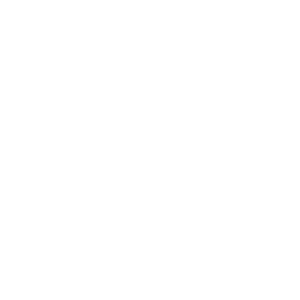 Compusoft-is – IT Consulting